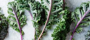 Iron-Rich Foods: Boost Your Energy and Health