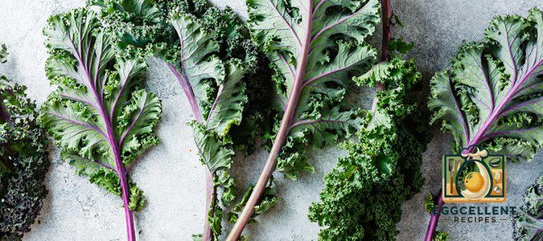 Iron-Rich Foods: Boost Your Energy and Health