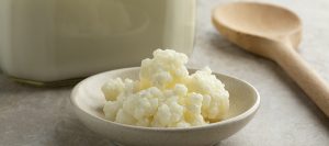 Best Probiotic Foods for Gut Health